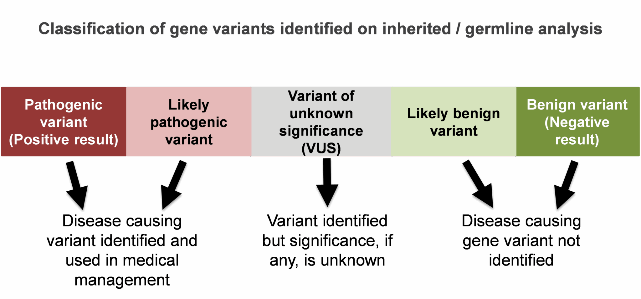 Genetics Information - CAC2